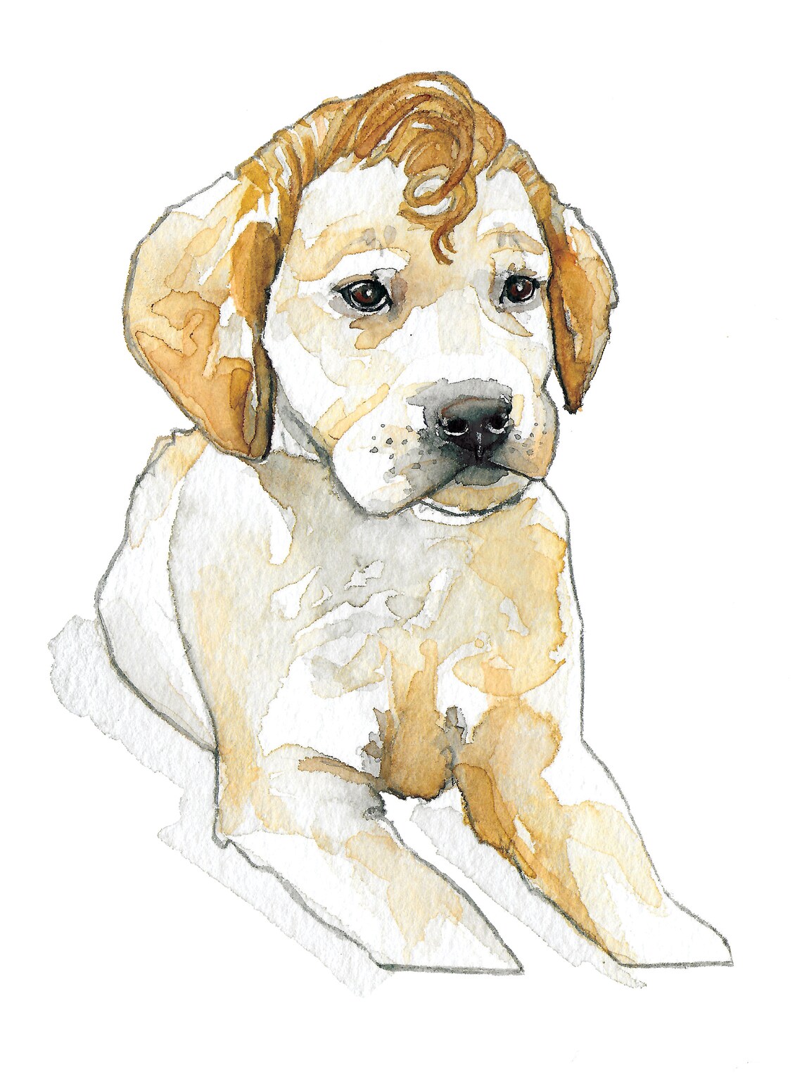 The Labradoodle Who Lost His Doodle hardcover | Etsy