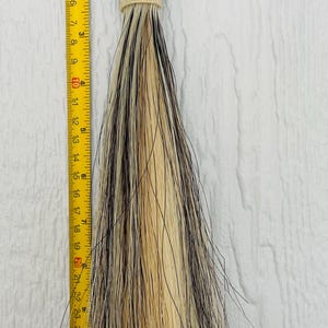 Horsehair Shu-fly, Horsehair Shoofly, Free Shipping - Etsy