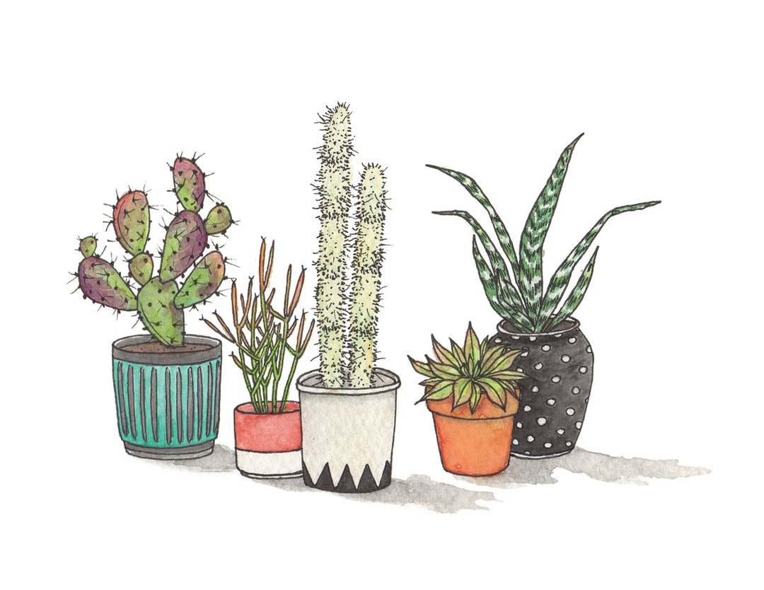 Cacti Collection I . Giclee Art Print of Original Watercolor ...