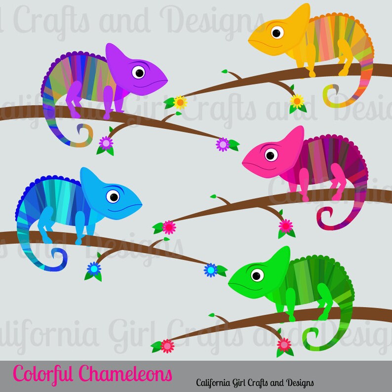 Colorful Chameleons Clipart Set - Instant Digital Download - Etsy