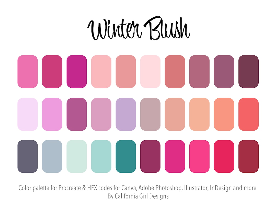 Winter Blush Color Palette for Procreate – 30 Colors (HEX Codes) - Etsy
