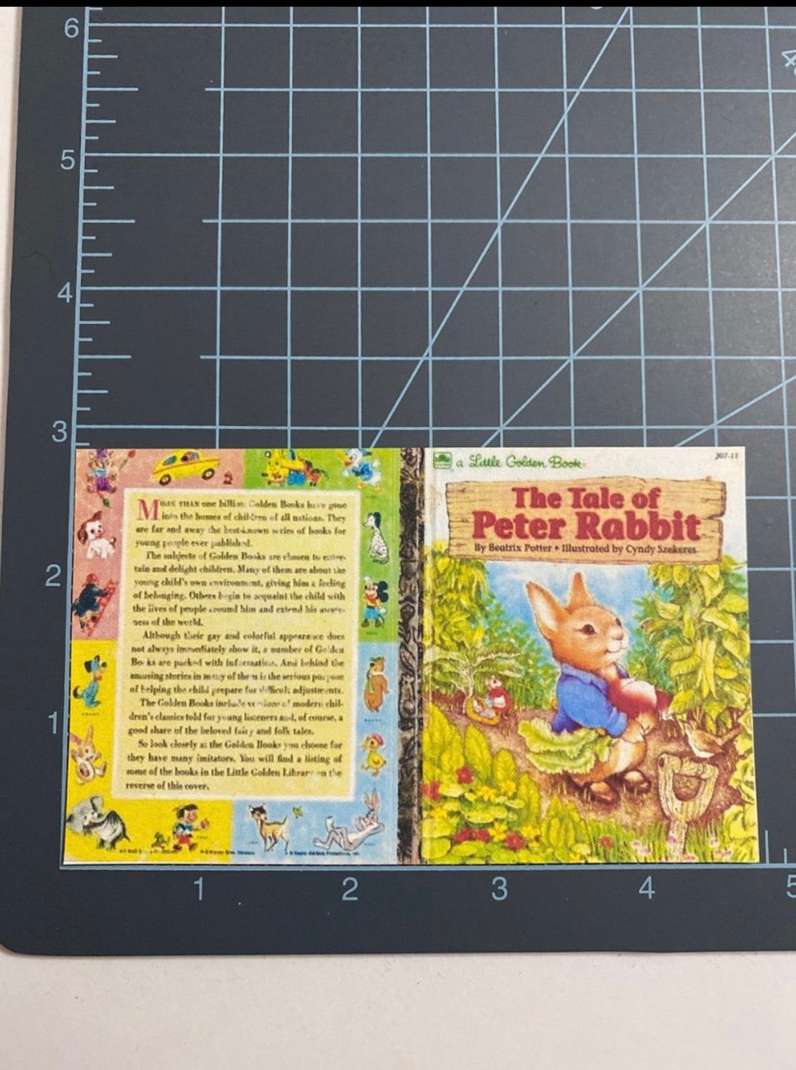 Doll Book Covers Theme Bunny Rabbit Books Fairytales PDF - Etsy