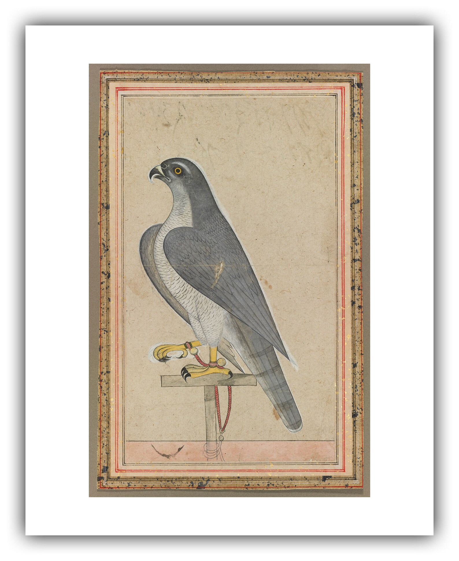 Indian Art : Falcon (c. 1770) - Giclee Fine Art Print - Etsy