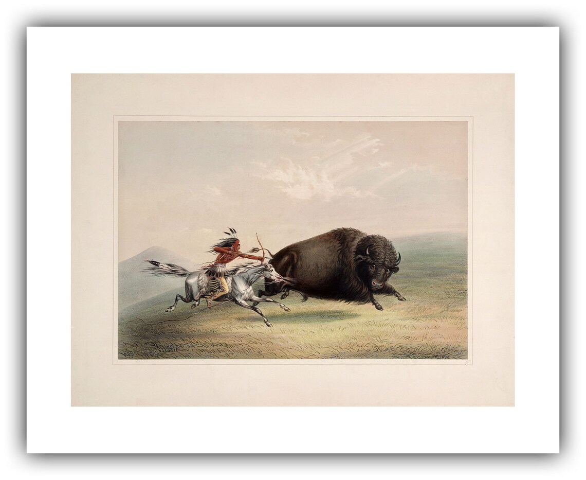 George Catlin's North American Indian Portfolio : Buffalo - Etsy