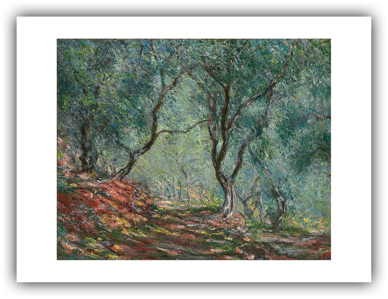 Claude Monet : Olive Trees in the Moreno Garden (1884) - Giclee Fine ...