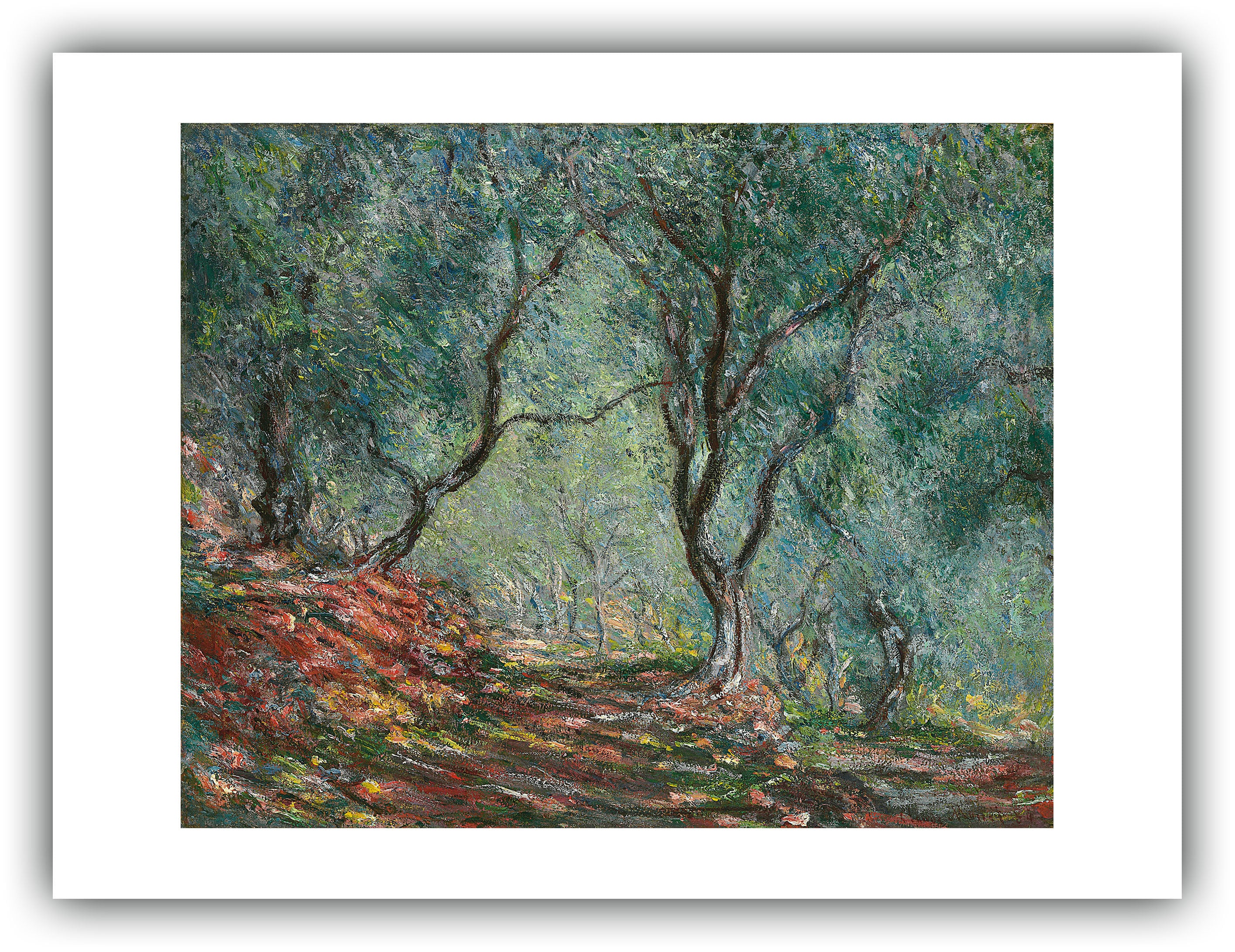 Claude Monet : Olive Trees in the Moreno Garden (1884) - Giclee Fine ...