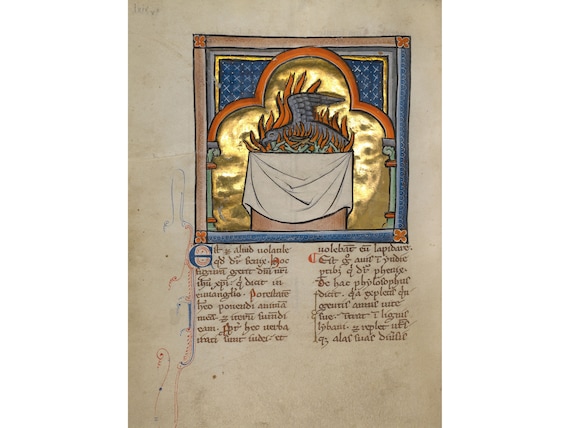 Bestiary Illumination : A Phoenix c. 1270 Giclee Fine Art - Etsy