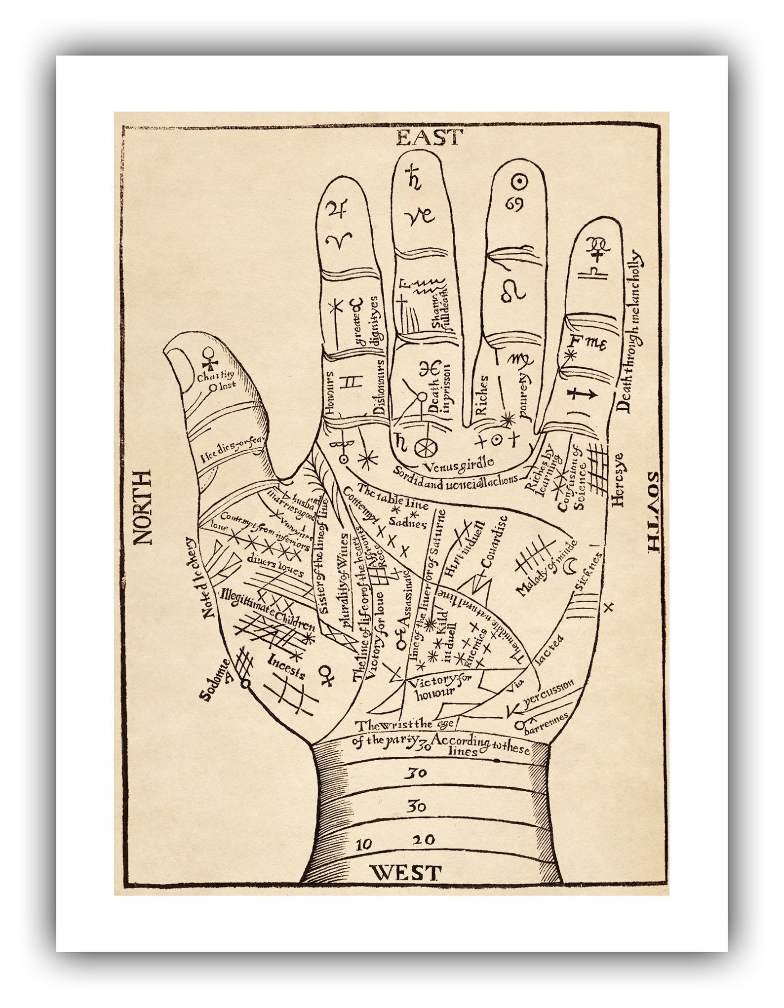 Richard Saunders : Palmistry/chiromancy Chart 1653 Giclee - Etsy