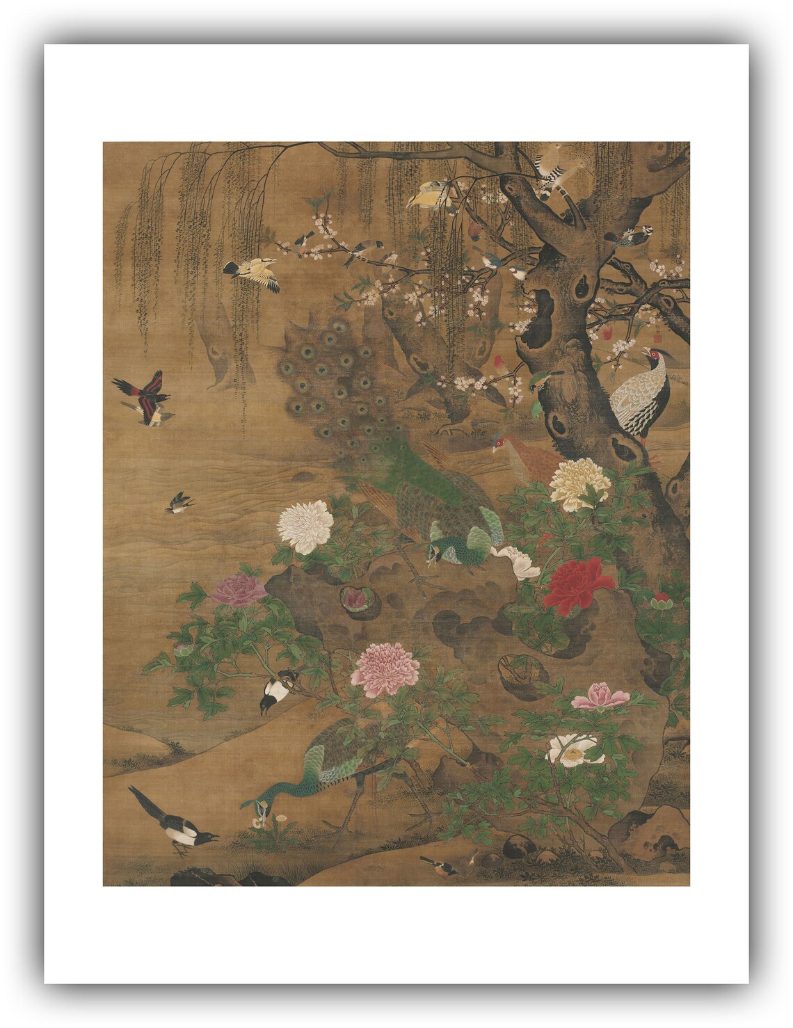 Yin Hong : Birds Gather Under the Spring Willow (late 1400s - Early ...