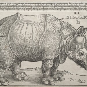 Albrecht Durer : the Rhinoceros (1515) - Giclee Fine Art Print - Etsy