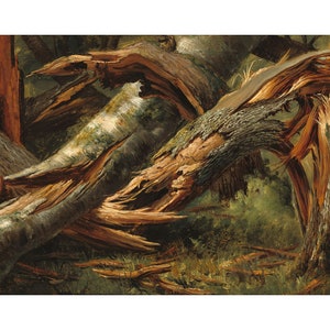 Alexandre Calame : Fallen Tree 1839/1845 Giclee Fine Art - Etsy