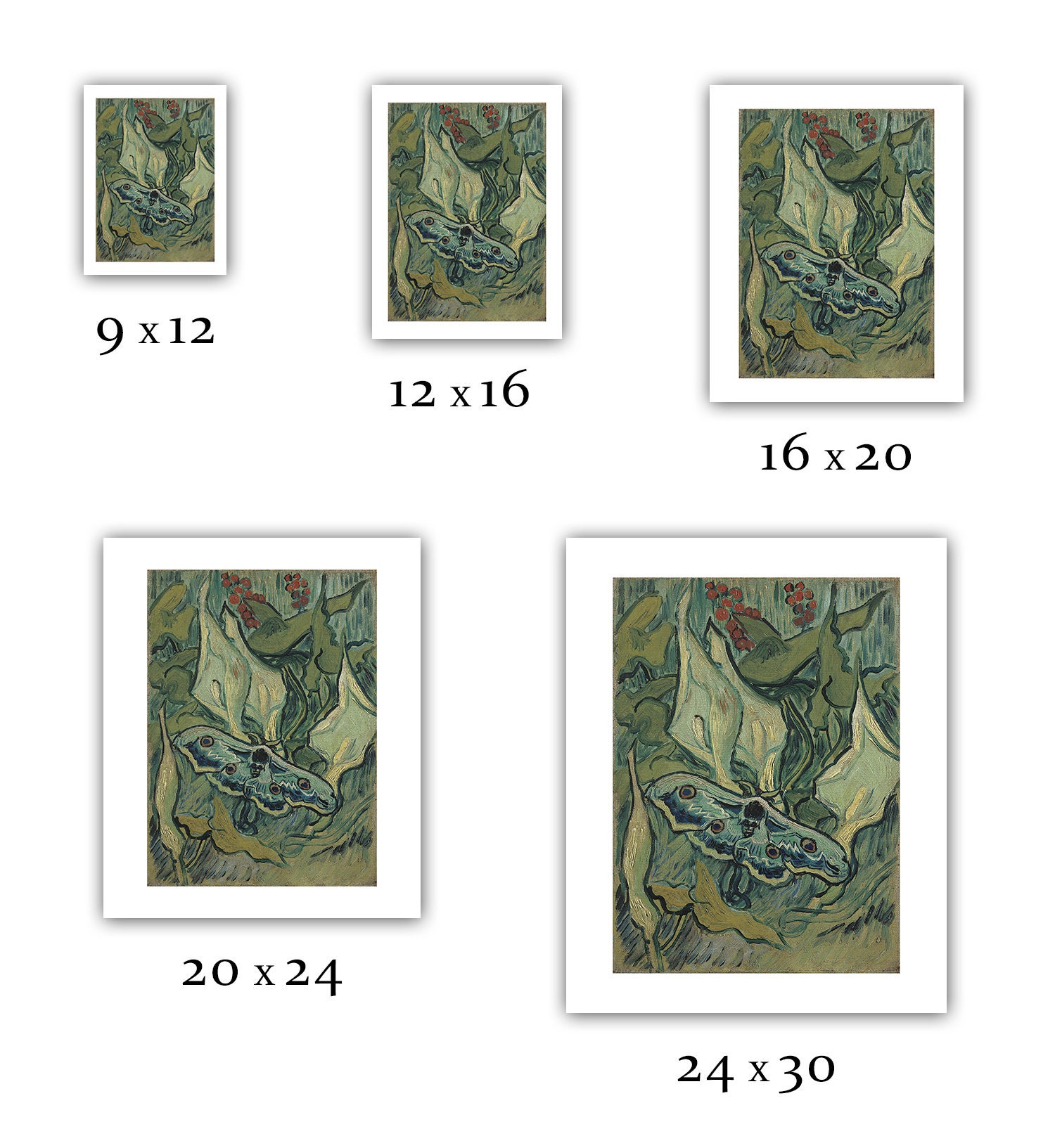 Vincent Van Gogh : Green Peacock Moth (the Emperor Moth) (1889 ...