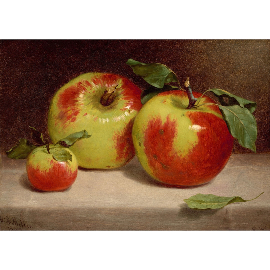 William Rickarby Miller : Study of Apples From Nature (1863) - Giclee ...