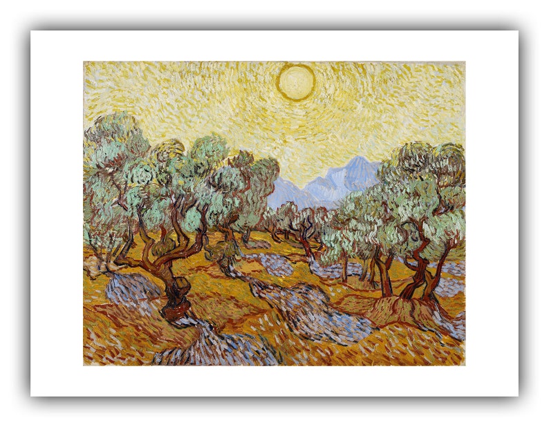 Vincent Van Gogh : Olive Trees With Yellow Sky and Sun (1889) - Giclee ...