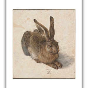 Albrecht Durer : Young Hare (1502) - Giclee Fine Art Print - Etsy