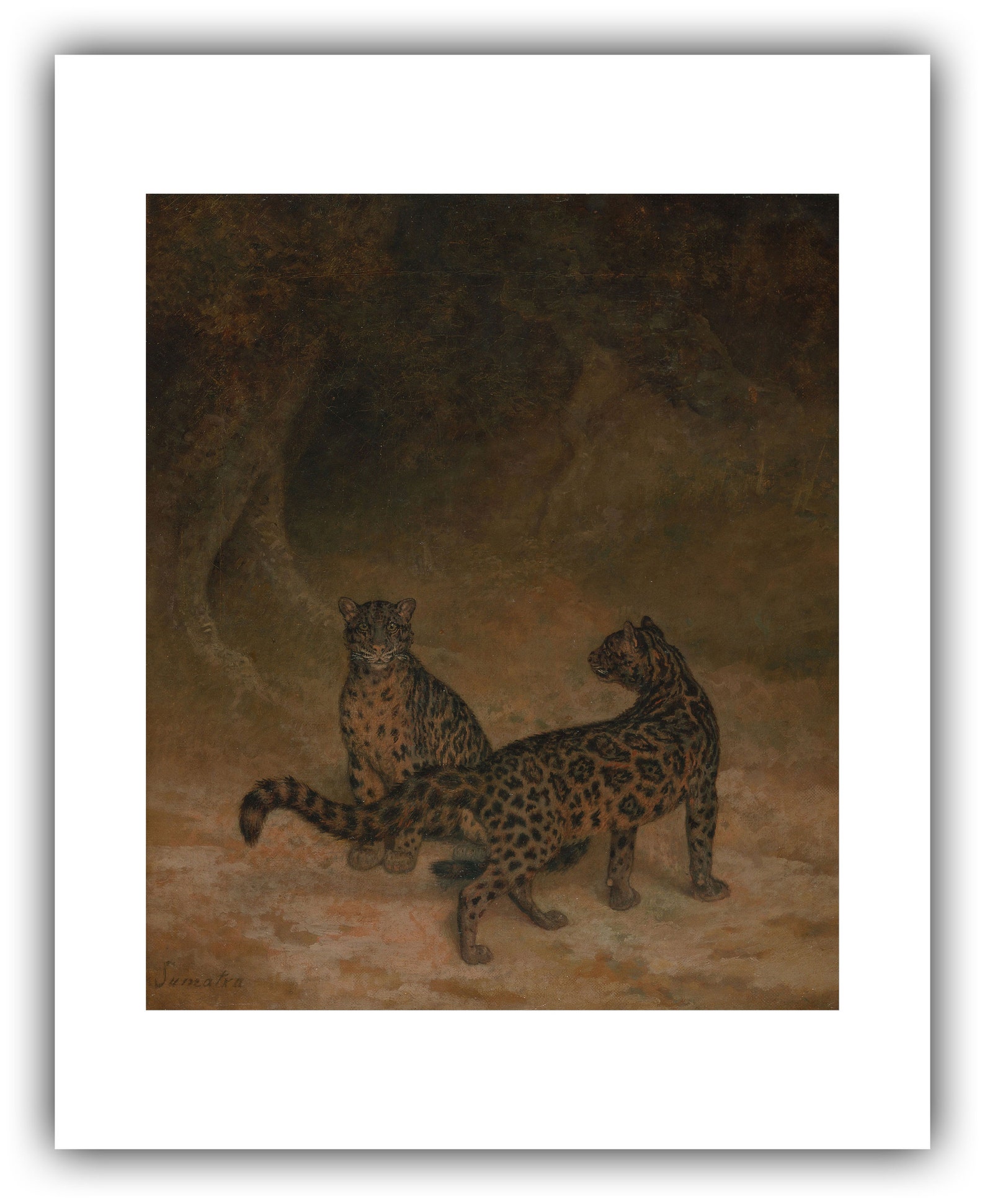 Jacques-laurent Agasse : Clouded Leopards (c. 1825) - Giclee Fine Art ...
