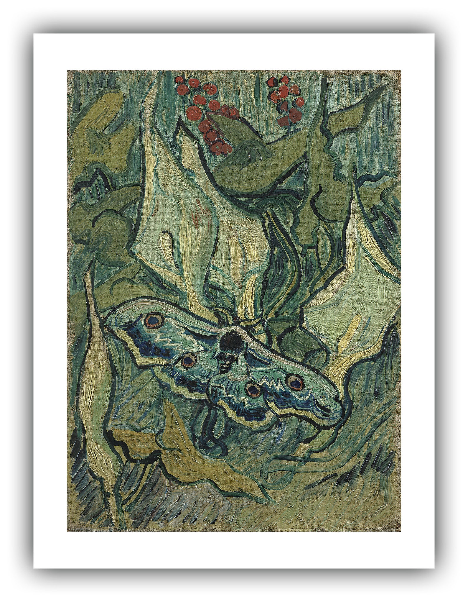 Vincent Van Gogh : Green Peacock Moth (the Emperor Moth) (1889 ...