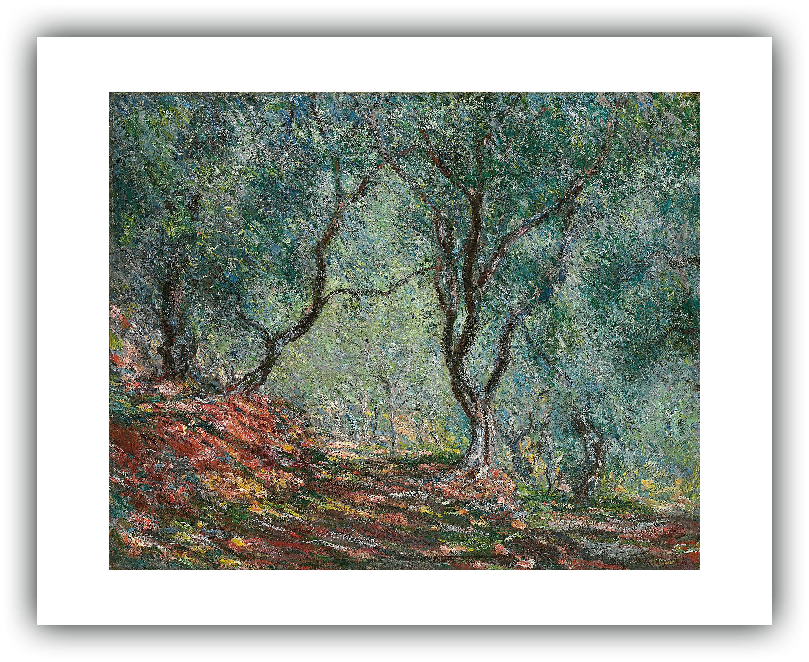 Claude Monet : Olive Trees in the Moreno Garden (1884) - Giclee Fine ...