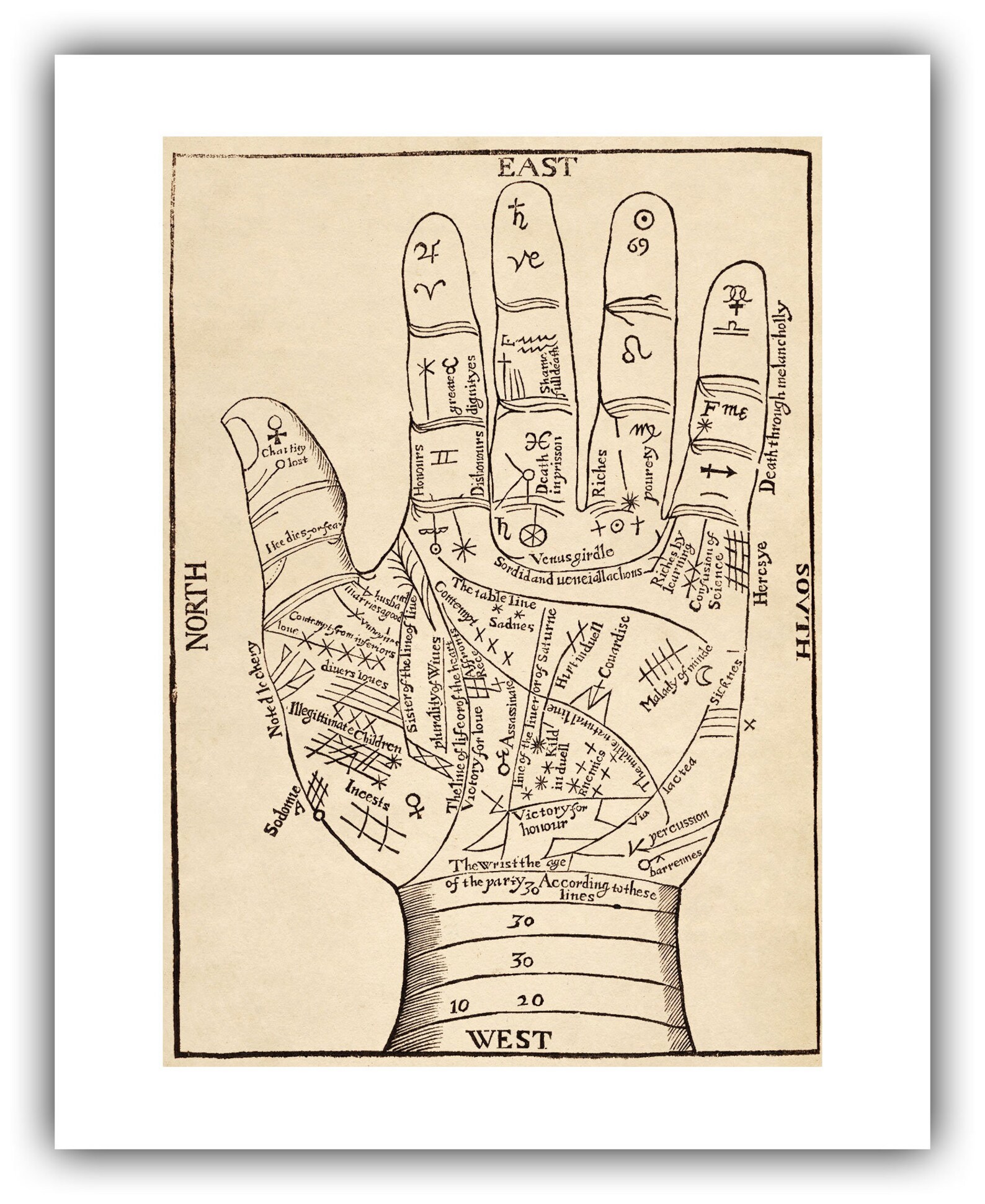 Richard Saunders : Palmistry/chiromancy Chart 1653 Giclee - Etsy
