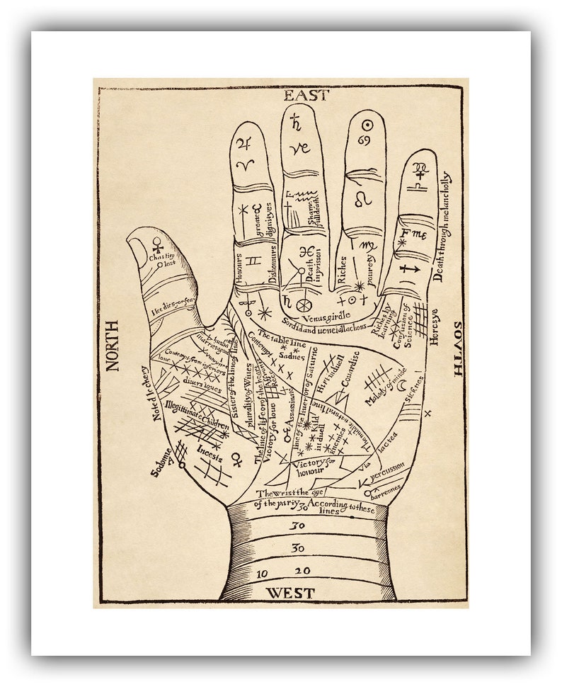 Richard Saunders : Palmistry/chiromancy Chart (1653) - Giclee Fine Art ...