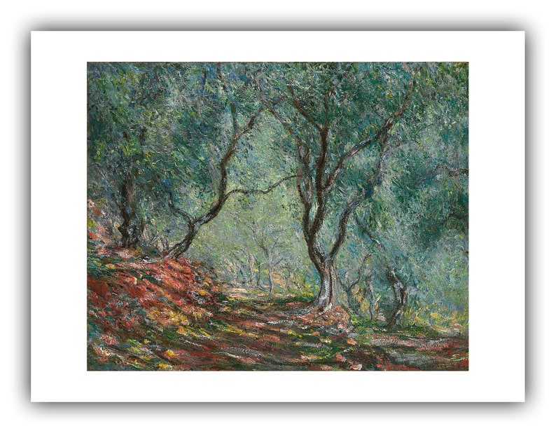 Claude Monet : Olive Trees in the Moreno Garden (1884) - Giclee Fine ...
