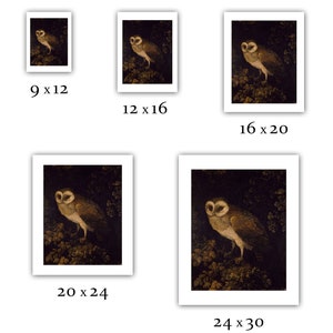 Moses Haughton the Elder : an Owl (1780-1790) - Giclee Fine Art Print ...