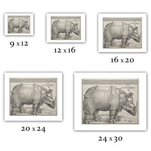 Albrecht Durer : the Rhinoceros (1515) - Giclee Fine Art Print - Etsy