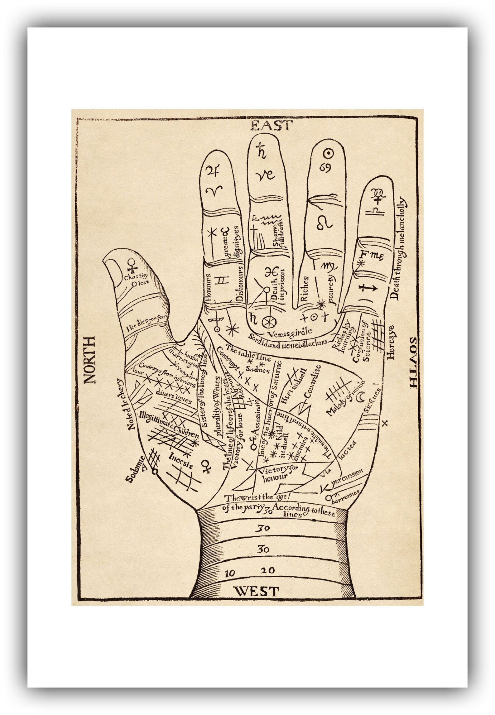 Richard Saunders : Palmistry/chiromancy Chart 1653 Giclee - Etsy