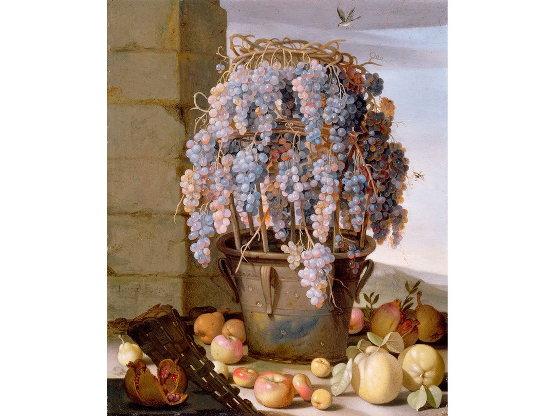 Luca Forte : Still Life With Grapes and Other Fruit (1630s) - Giclee ...