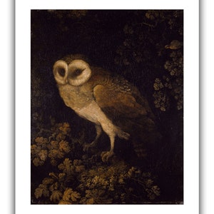 Moses Haughton the Elder : an Owl (1780-1790) - Giclee Fine Art Print ...