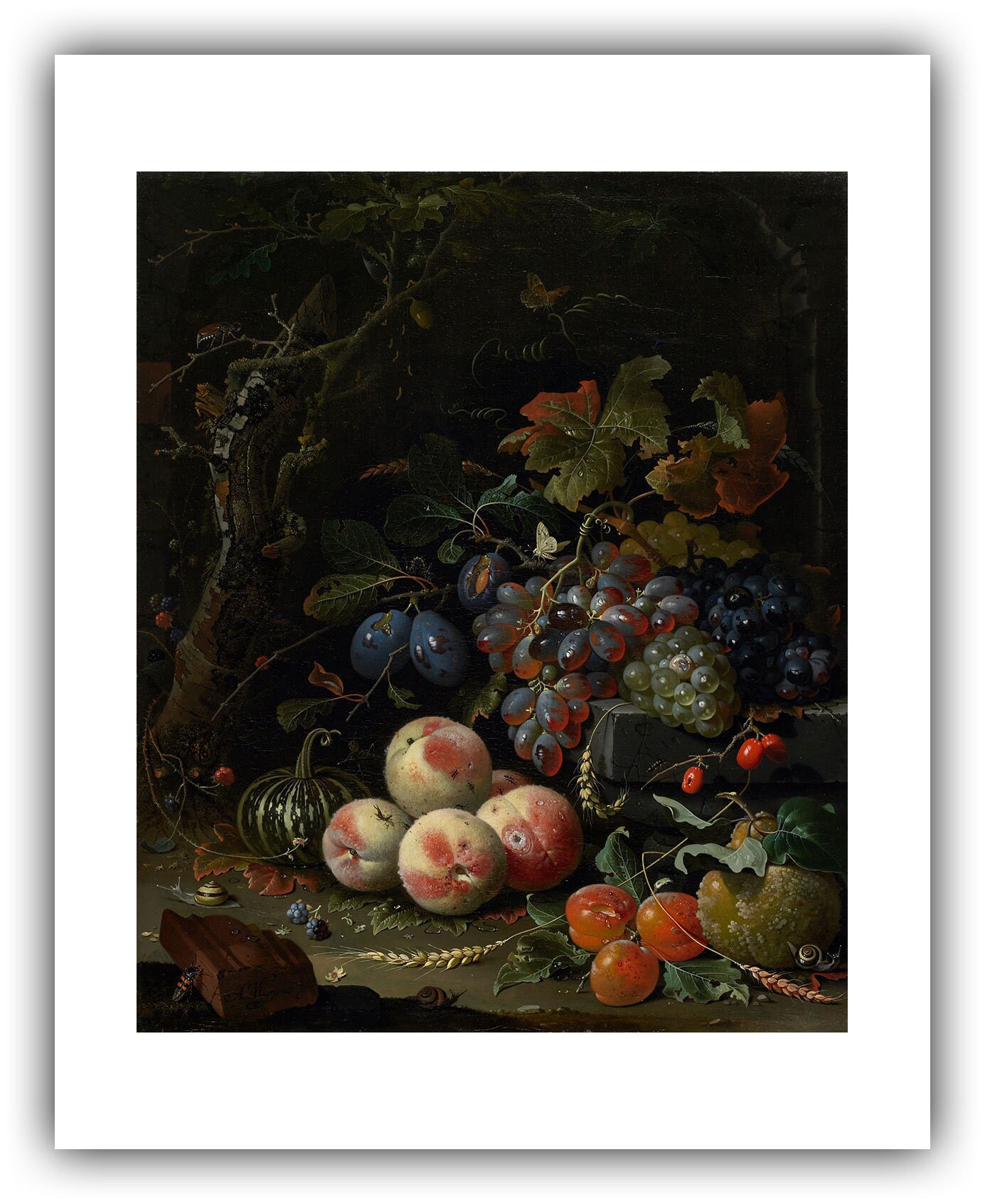 Abraham Mignon : Still Life With Fruits, Foliage and Insects (c. 1669 ...