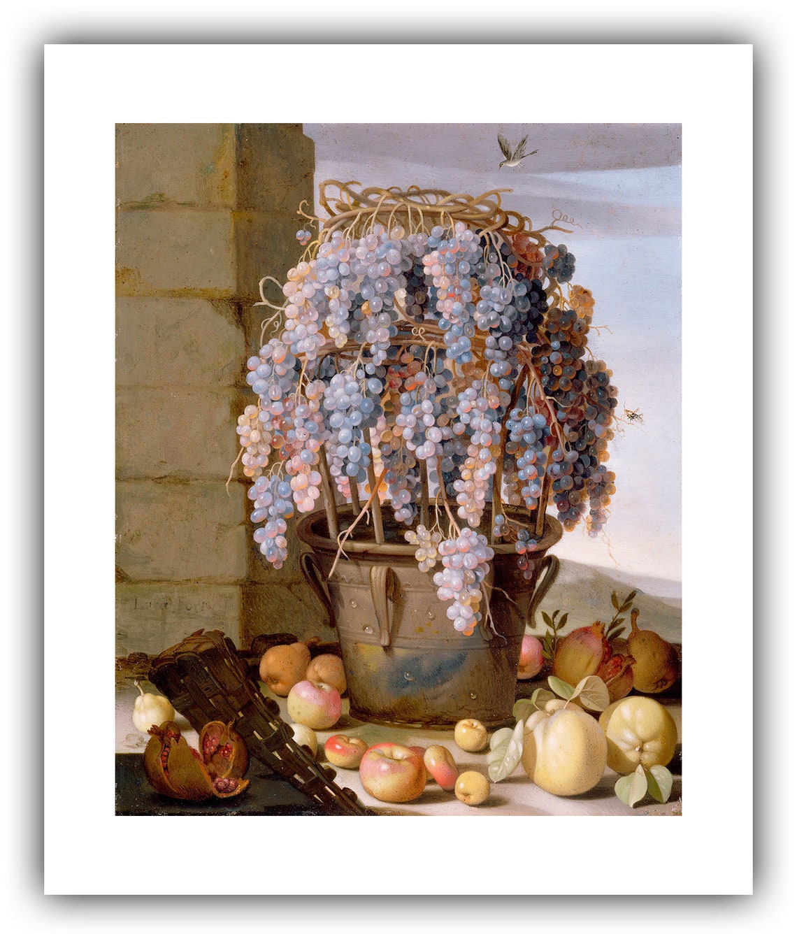 Luca Forte : Still Life With Grapes and Other Fruit 1630s - Etsy