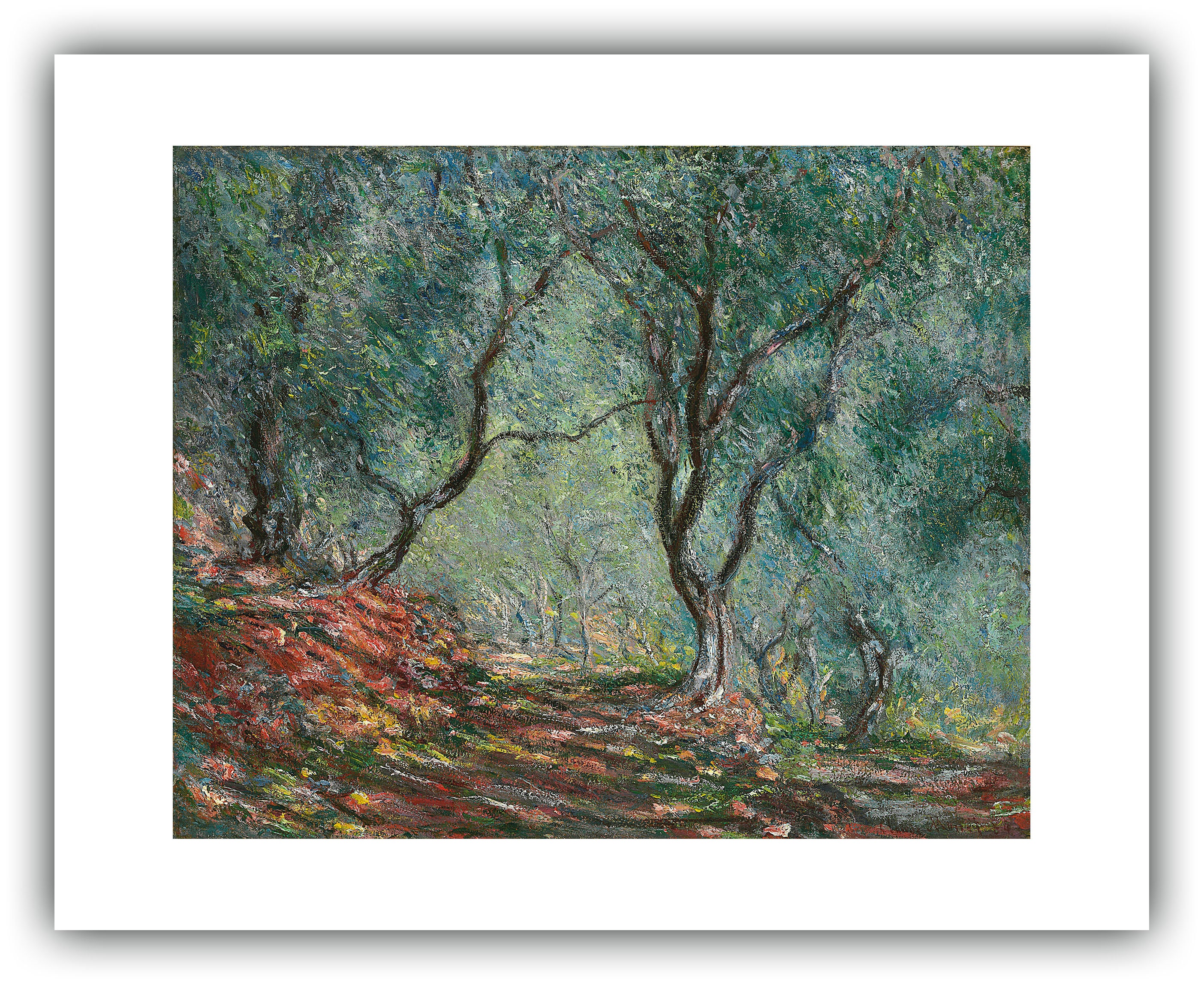 Claude Monet : Olive Trees in the Moreno Garden (1884) - Giclee Fine ...