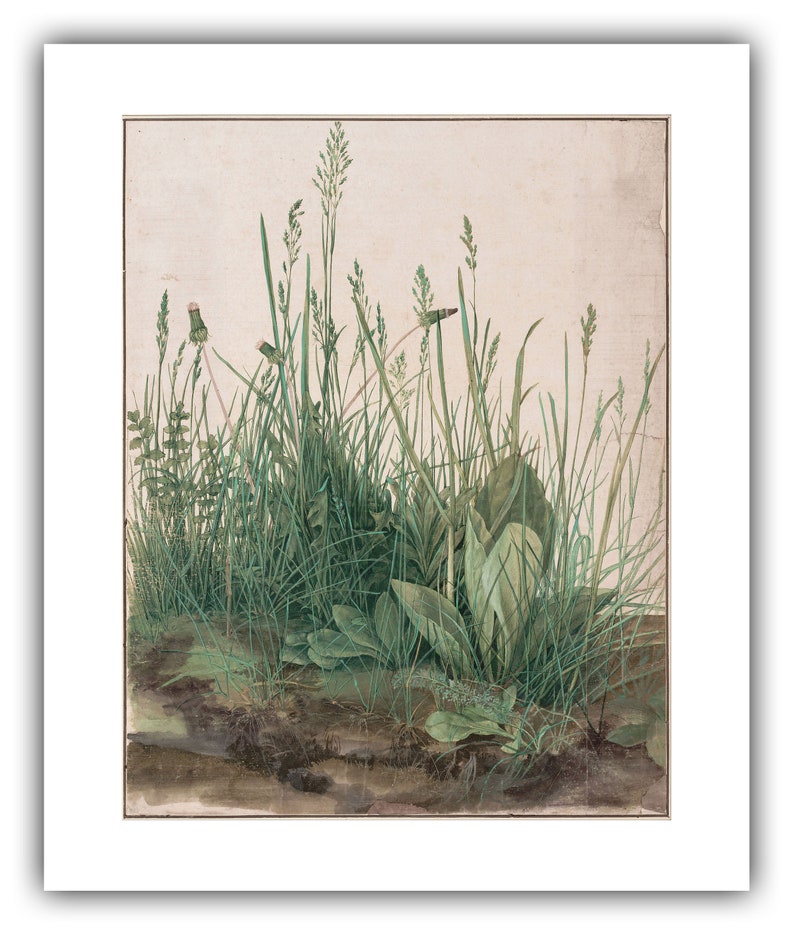 Albrecht Durer : the Great Piece of Turf (1503) - Giclee Fine Art Print ...
