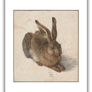 Albrecht Durer : Young Hare (1502) - Giclee Fine Art Print - Etsy