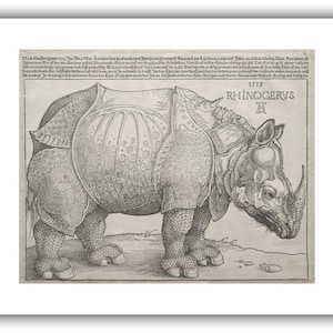 Albrecht Durer : the Rhinoceros (1515) - Giclee Fine Art Print - Etsy