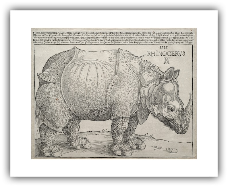 Albrecht Durer : the Rhinoceros 1515 Giclee Fine Art Print - Etsy