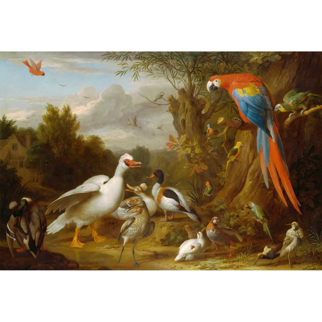 Jakob Bogdani : A Macaw, Ducks, Parrots and Other Birds in a Landscape ...