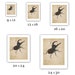 Albrecht Durer : Stag Beetle 1505 Giclee Fine Art Print - Etsy Sweden