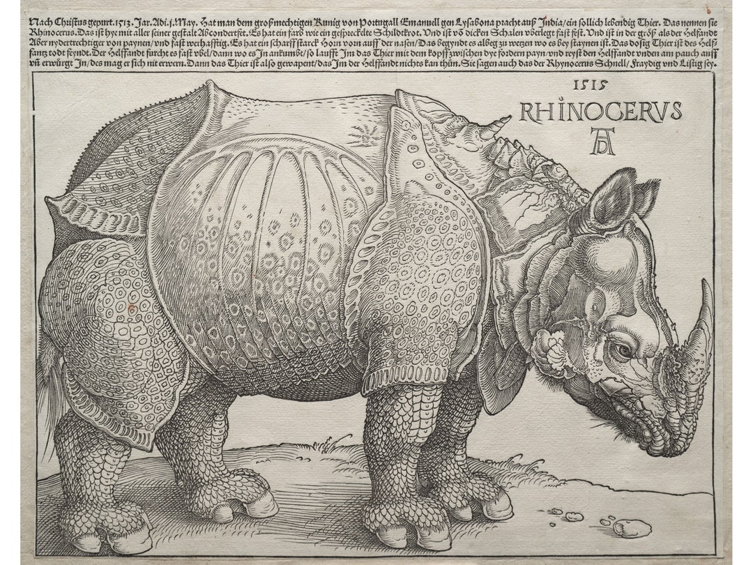 Albrecht Durer : the Rhinoceros 1515 Giclee Fine Art Print - Etsy