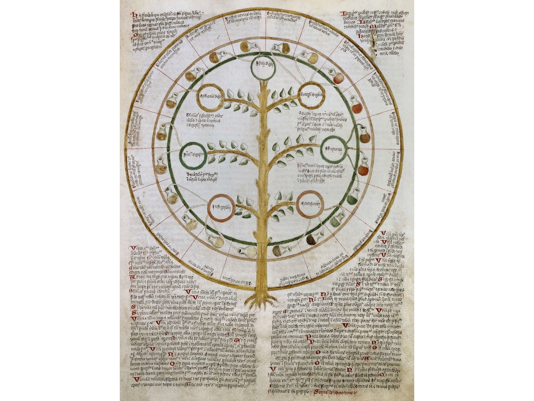 Unknown Artist : Uroscopy Wheel (c. 1420-1430) - Giclee Fine Art Print ...