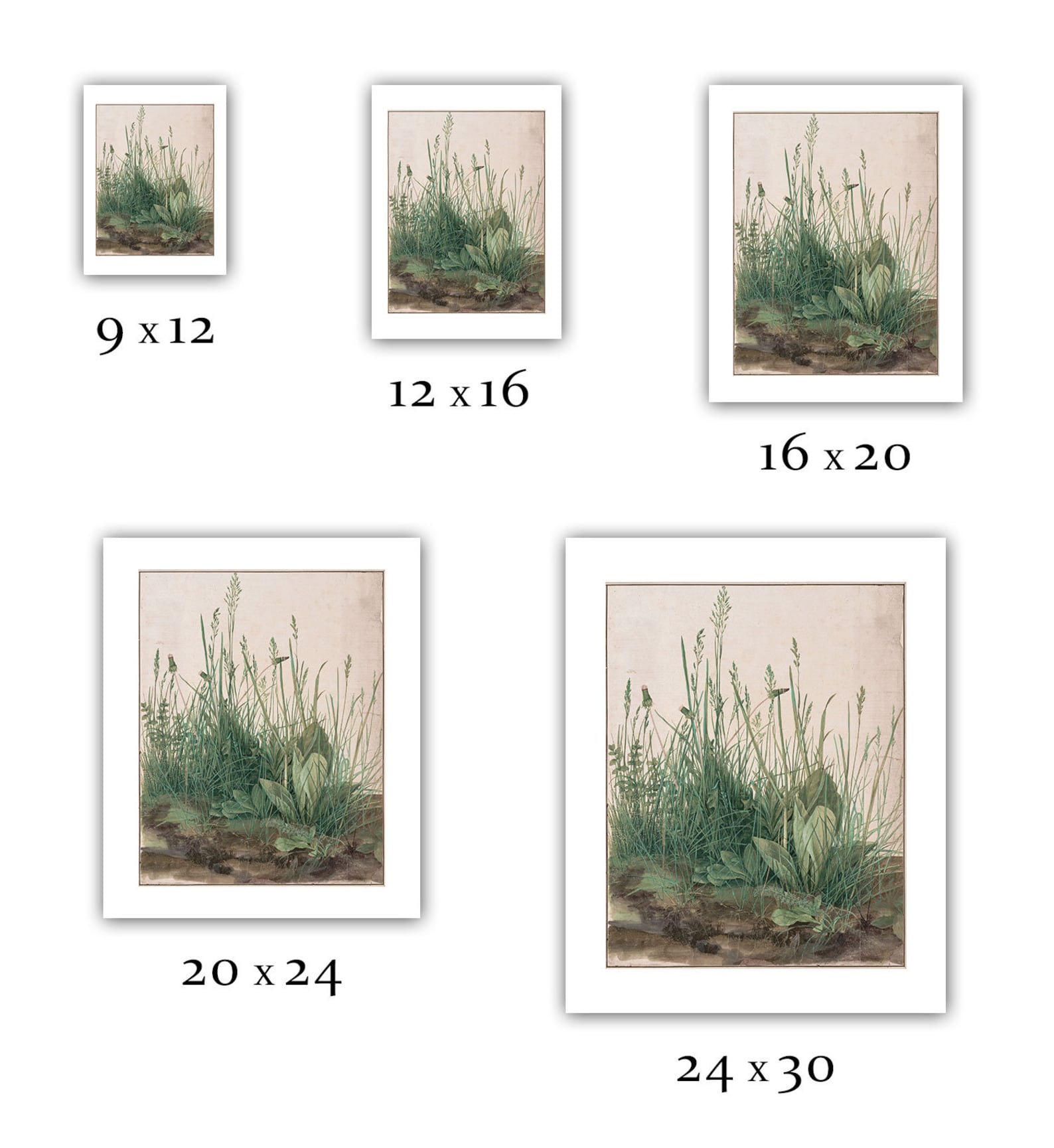 Albrecht Durer : the Great Piece of Turf (1503) - Giclee Fine Art Print ...