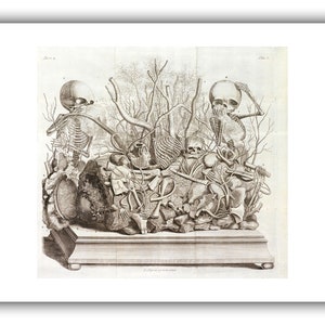 Frederik Ruysch : Diorama of Fetal Skeletons Arranged With Various ...