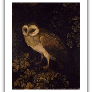 Moses Haughton the Elder : an Owl (1780-1790) - Giclee Fine Art Print ...