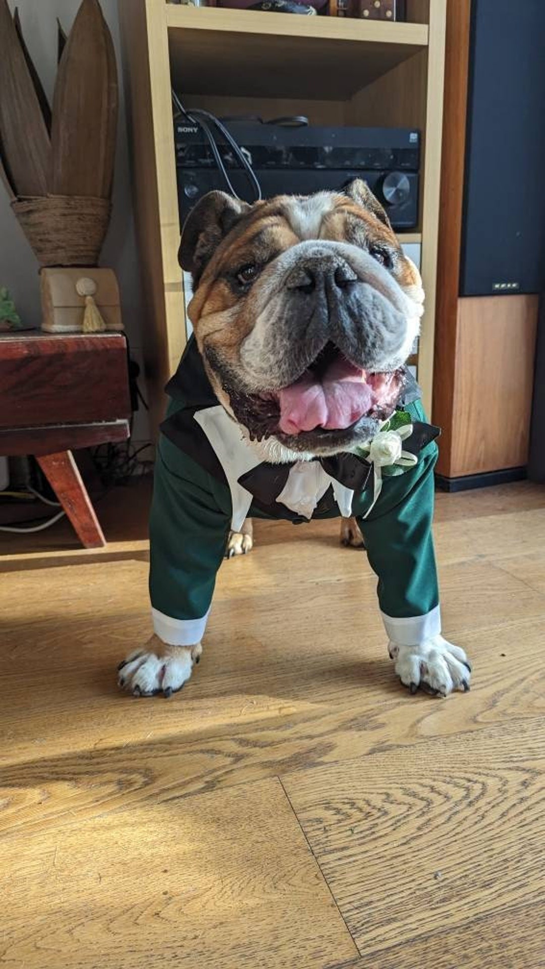 Here is Samson Looking Really Handsome in His Tuxedo at His Best ...