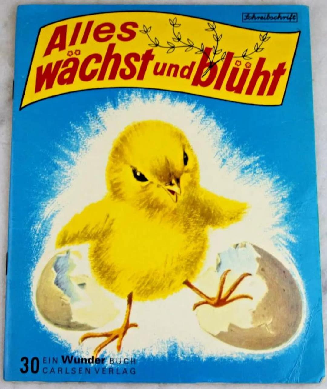 Children's Book Picture Book Wonder Book Everything Grows and Blooms ...