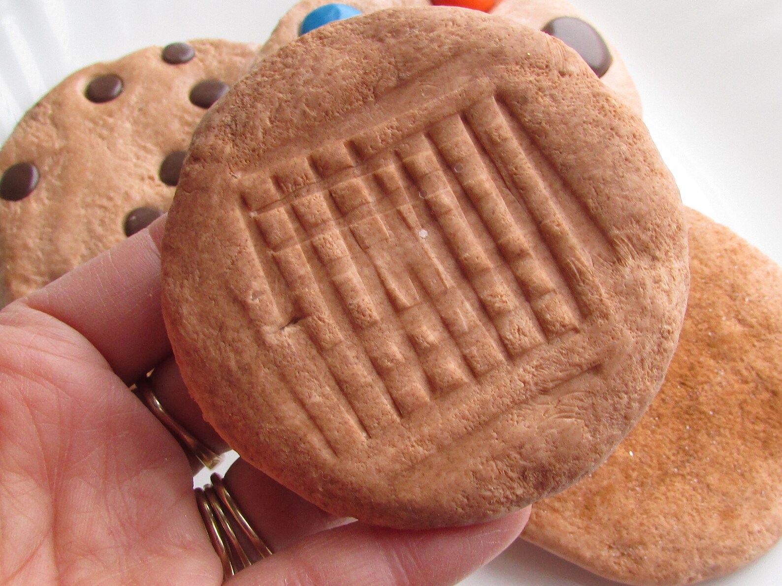 Fake Cookies for Display 6 Piece Set Faux Cookie Food Prop - Etsy