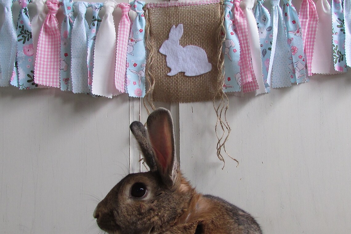 Rabbit County Fair Banner Bunny Farm Animal Agricultural Show | Etsy