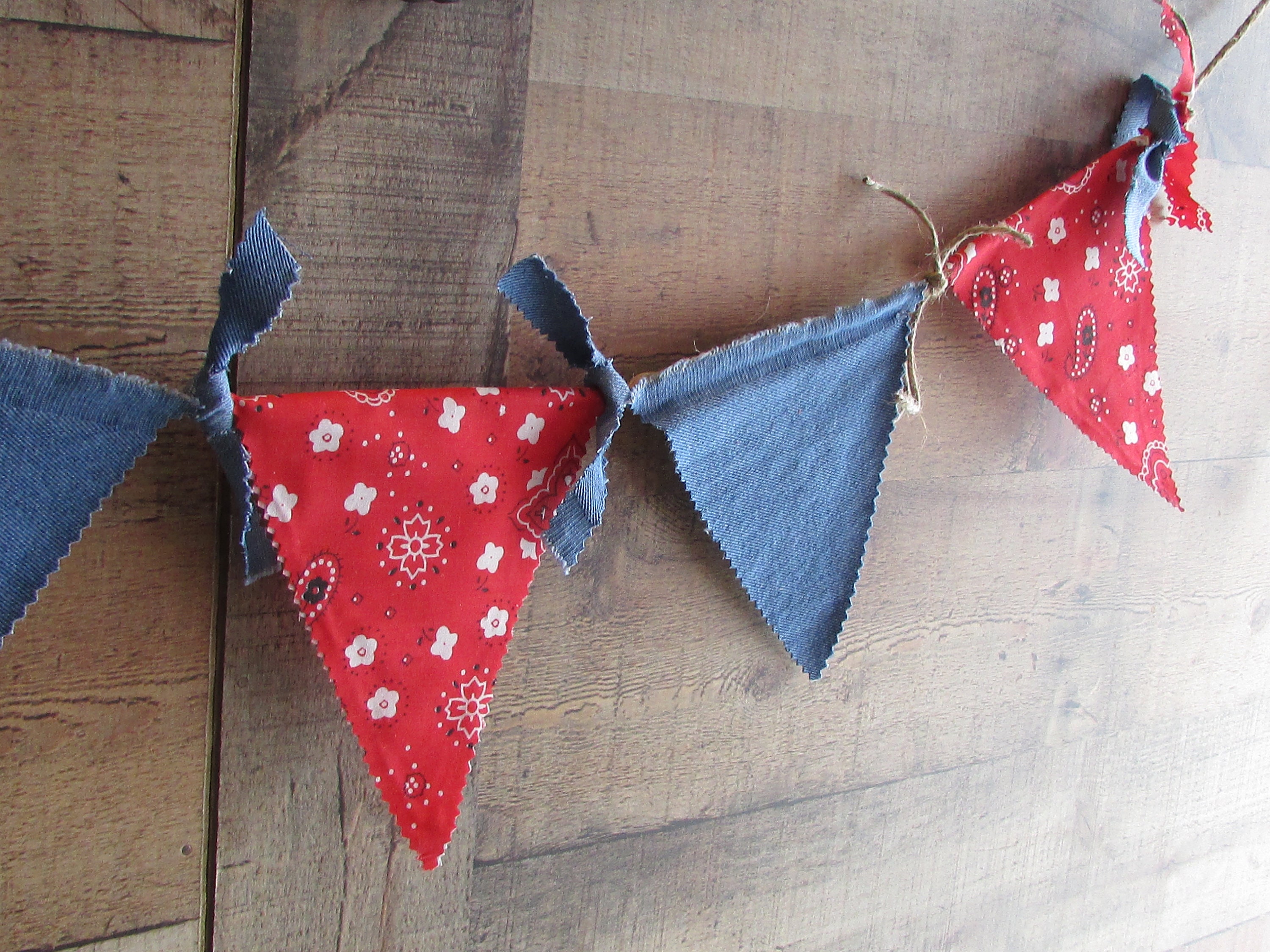 Country Western Banner