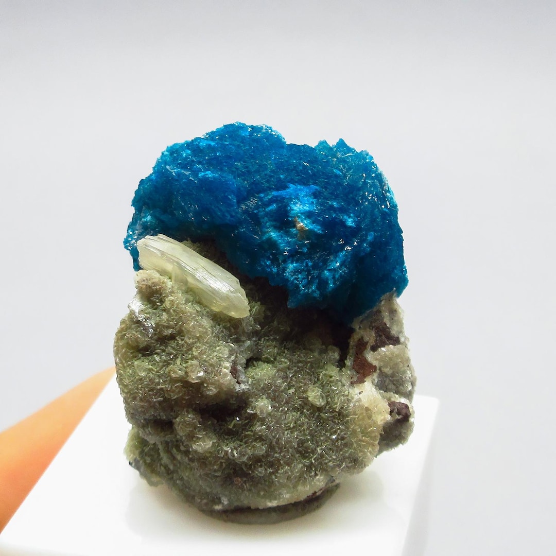 Specimen of Dark Blue Cavansite on Matrix (non Precious Natural Stone ...